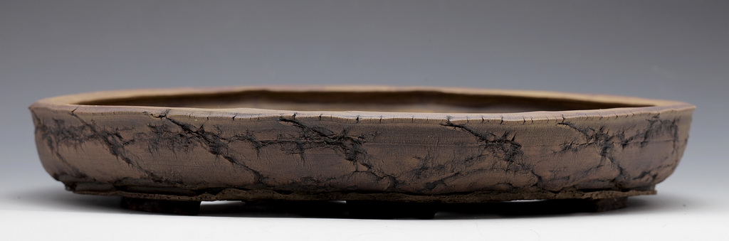 Pots and plants by Kitoi: Shallow Bonsai Pots