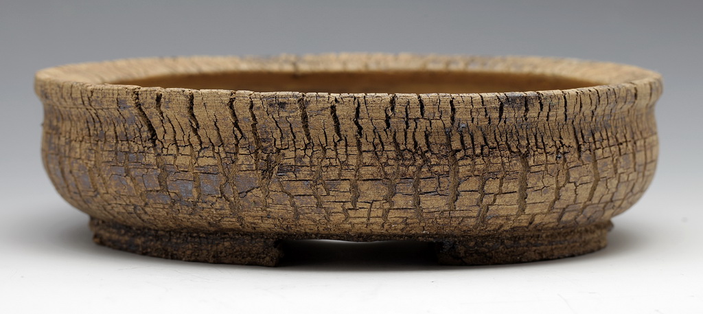 Pots and plants by Kitoi: Shallow Bonsai Pots