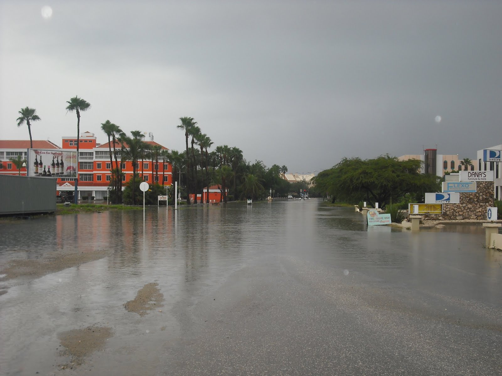 De belevenissen van de Familie Fingal op Aruba: Ongebruikelijke ...