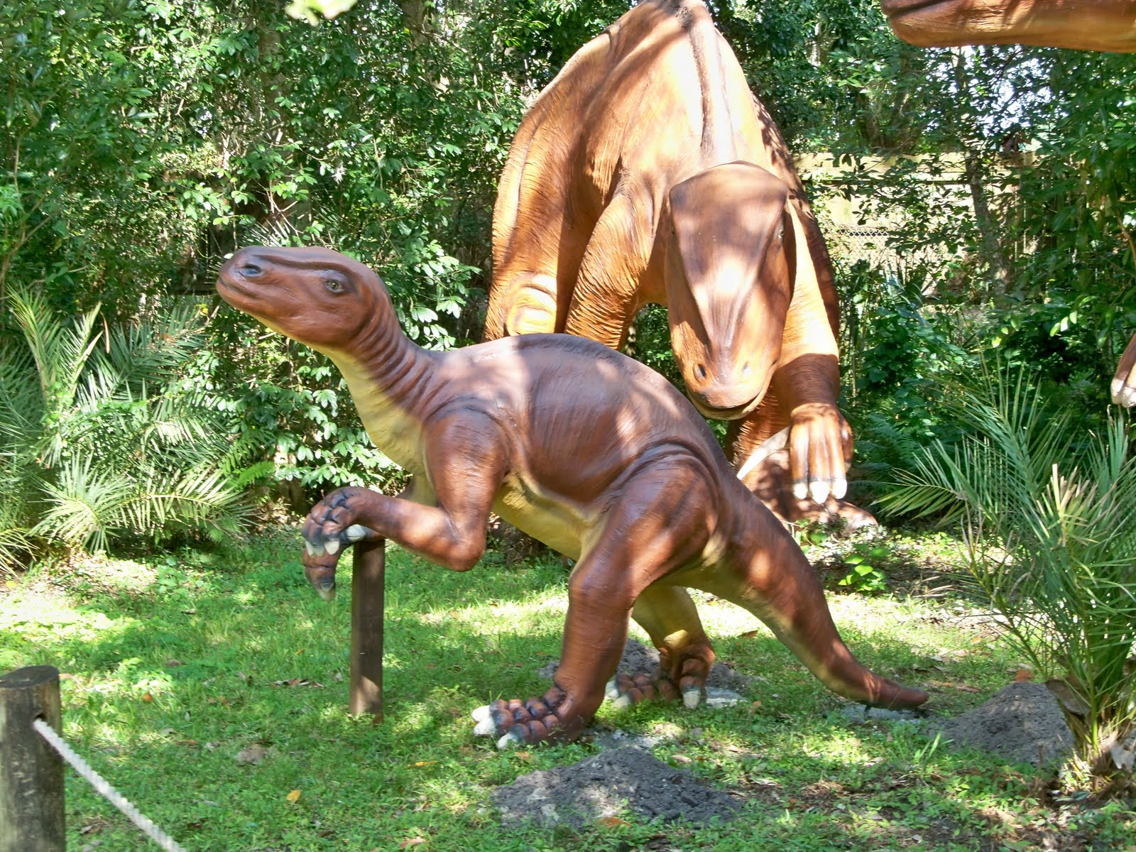 Dinosaur World Blog: Baby Iguanodon