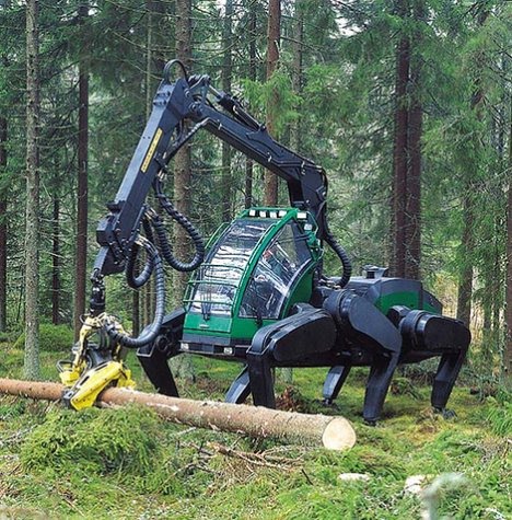 Industries everywhere: Logging