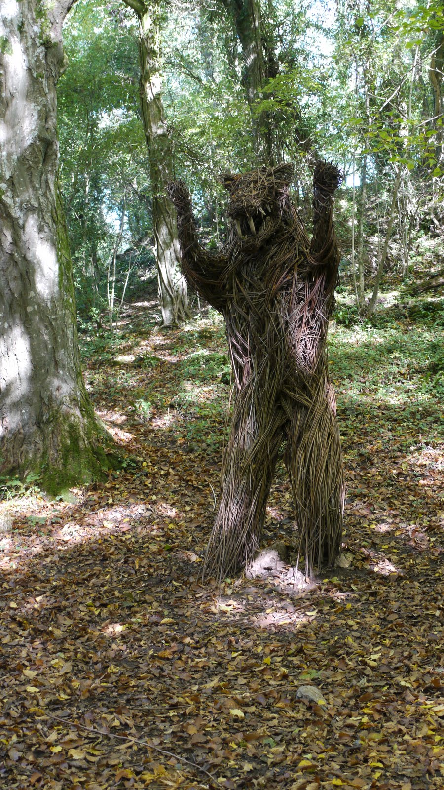 Ebbor Gorge Near Wells Somerset - Britain All Over Travel Guide