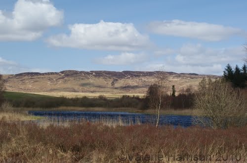 Keepers Cottage Wildlife Garden Diary: A Trip Down South April 2010