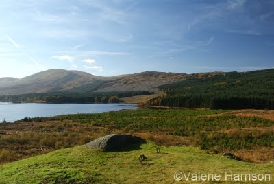 Keepers Cottage Wildlife Garden Diary: Carrick Forest Drive & Lock Doon ...