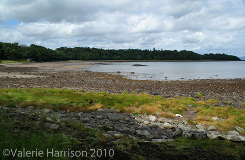 Keepers Cottage Wildlife Garden Diary: Rigg Bay to Cruggleton ...