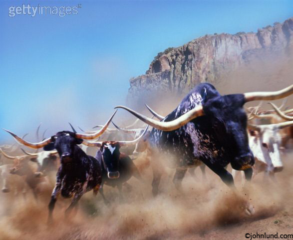 Mr. Rott's Classroom: October 2010