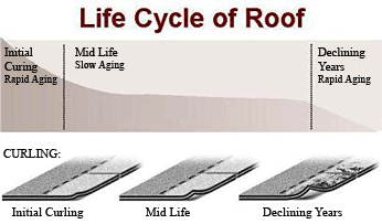 Leader Const & Roofing Co: Information About Your Roof