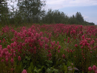 Barry Friesen: Sukunka Falls and pictures from the Peace Country