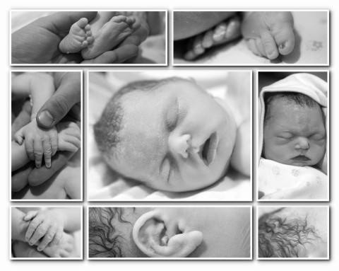 The life of Jaxon Scott and Gavin Thomas Wilson