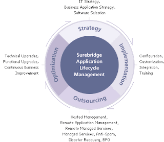 Function formula business strategy: Application Lifecycle Management