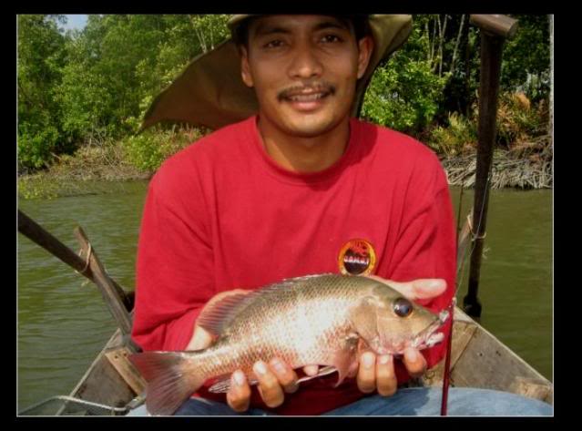 C.O.M.O.T: SIAKAP MERAH LAGI...