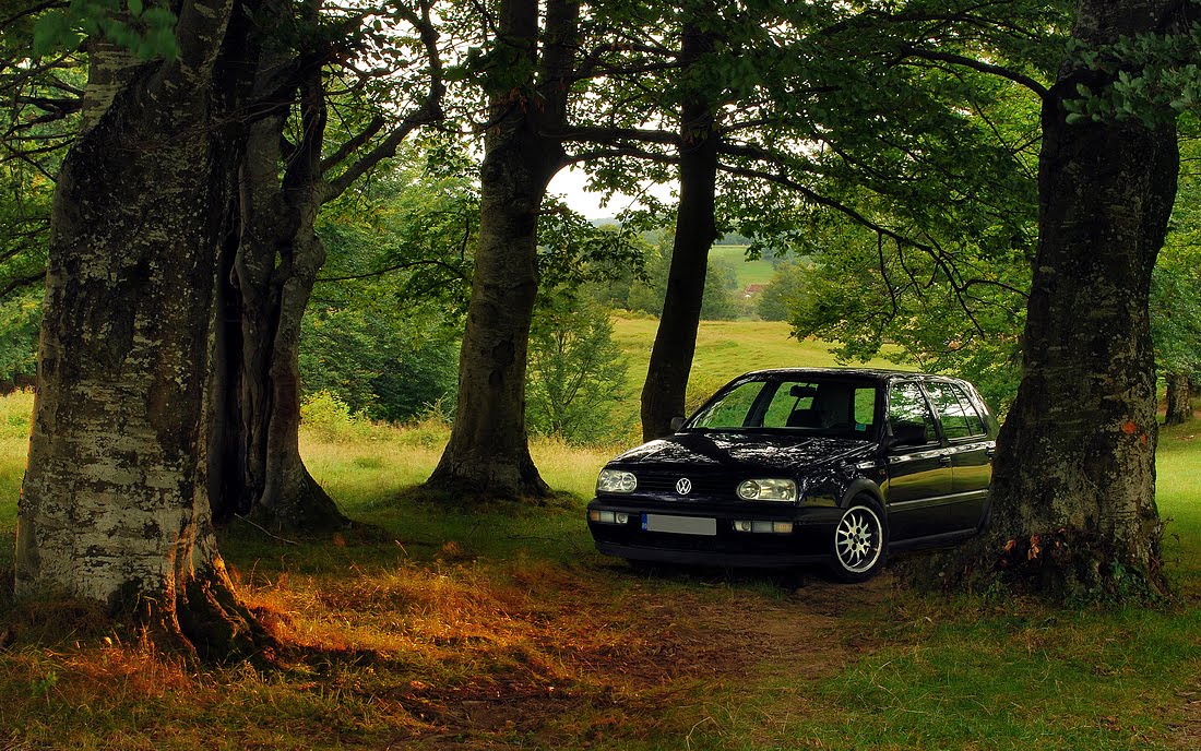 LOVED CARS PHOTOGRAPHY: Golf Mk3 GT Special
