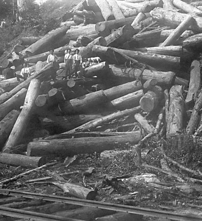 TravelinOma: Log Jam