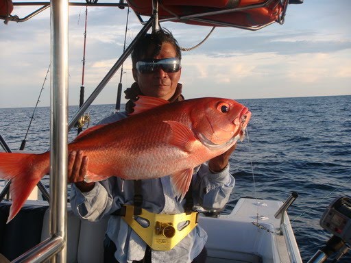 croxfiber - sportfishos lounge: ruby snapper