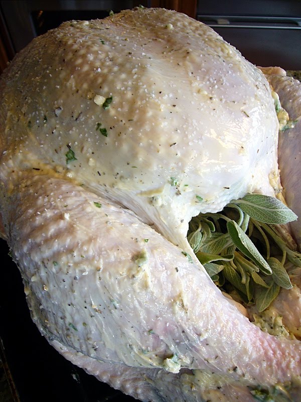 Not So Humble Pie: Early Bird: Pre-Thanksgiving Turkey