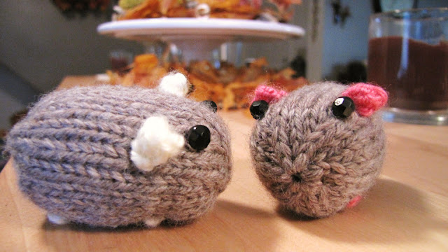 everyday home...: knitting update...