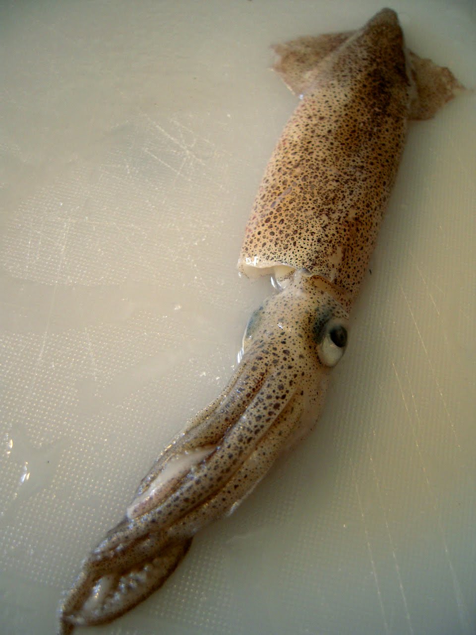 Buddha Bellies: Tamarind Squid