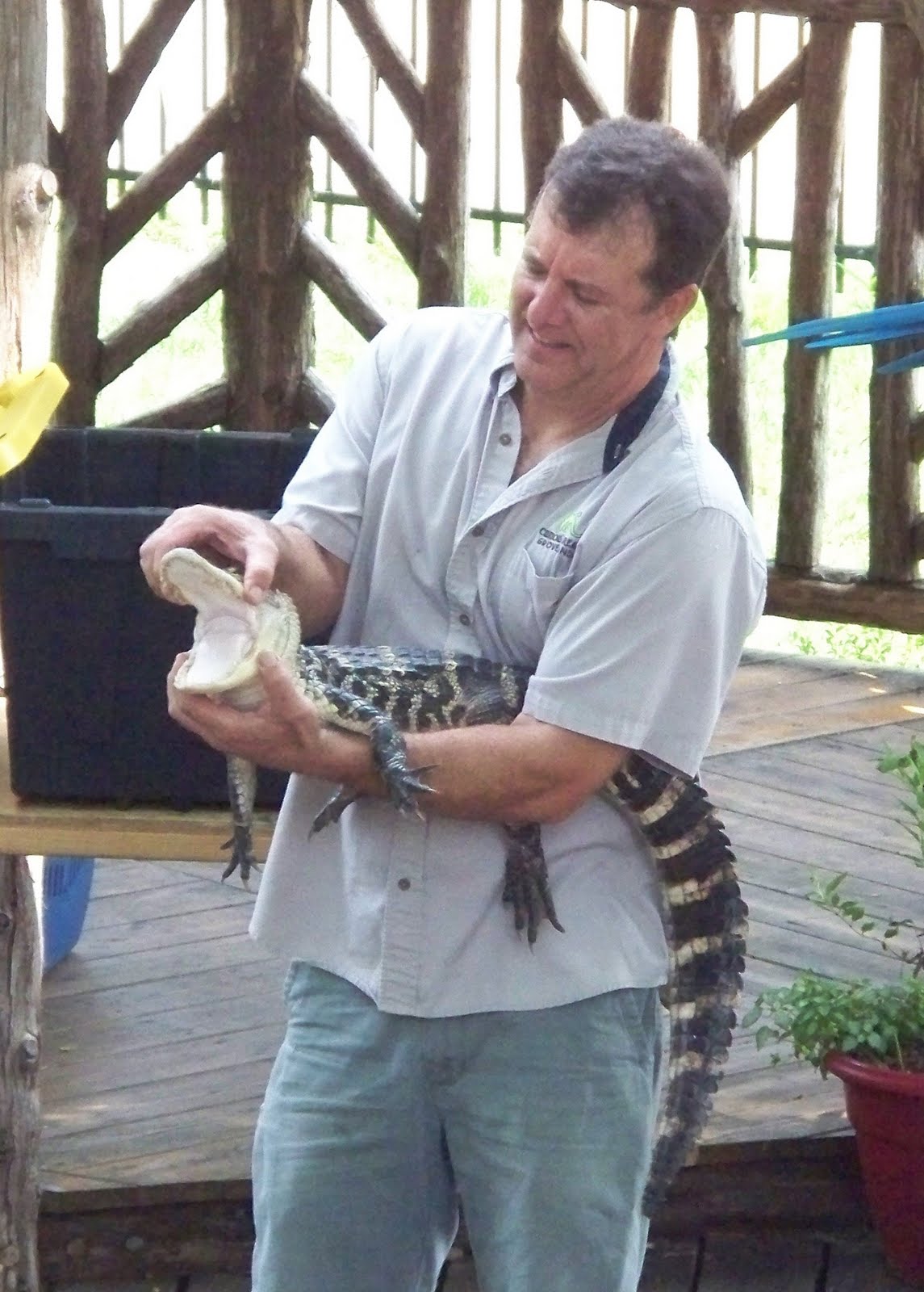 Week 2: Go Wild! and Creature Feature Drop-In-Days • Children's Museum