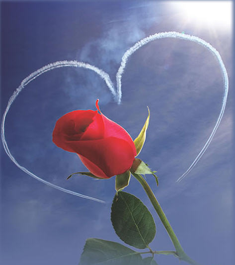 Corazones con flores y rosas - Imagui