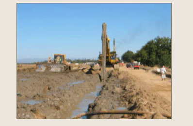 Mega Wega Fun Movies Songs Softwares and much more...