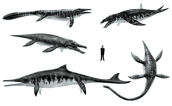 Giant Reptiles of the Mesozoic seas