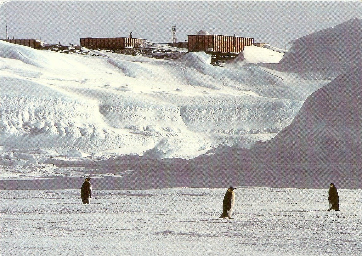 Postcard A La Carte: TAAF - FSAL - Terre Adelie