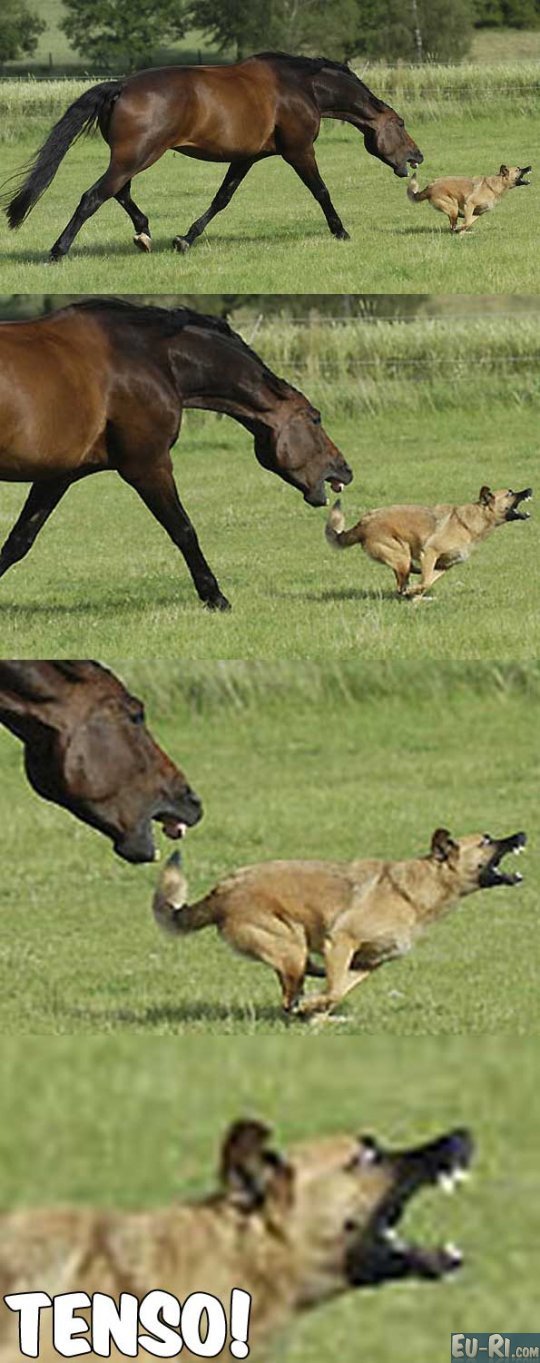 Tá Temso: Os tensos