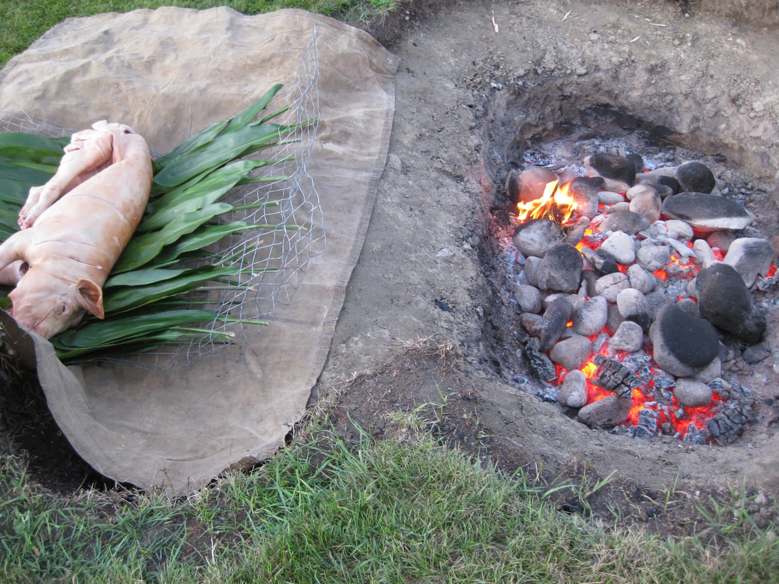 Lumsden FLorist etc.: Hawaiian Luau - How to Pit Roast a Pig