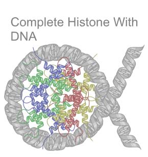 Life of a Lab Rat: 2010