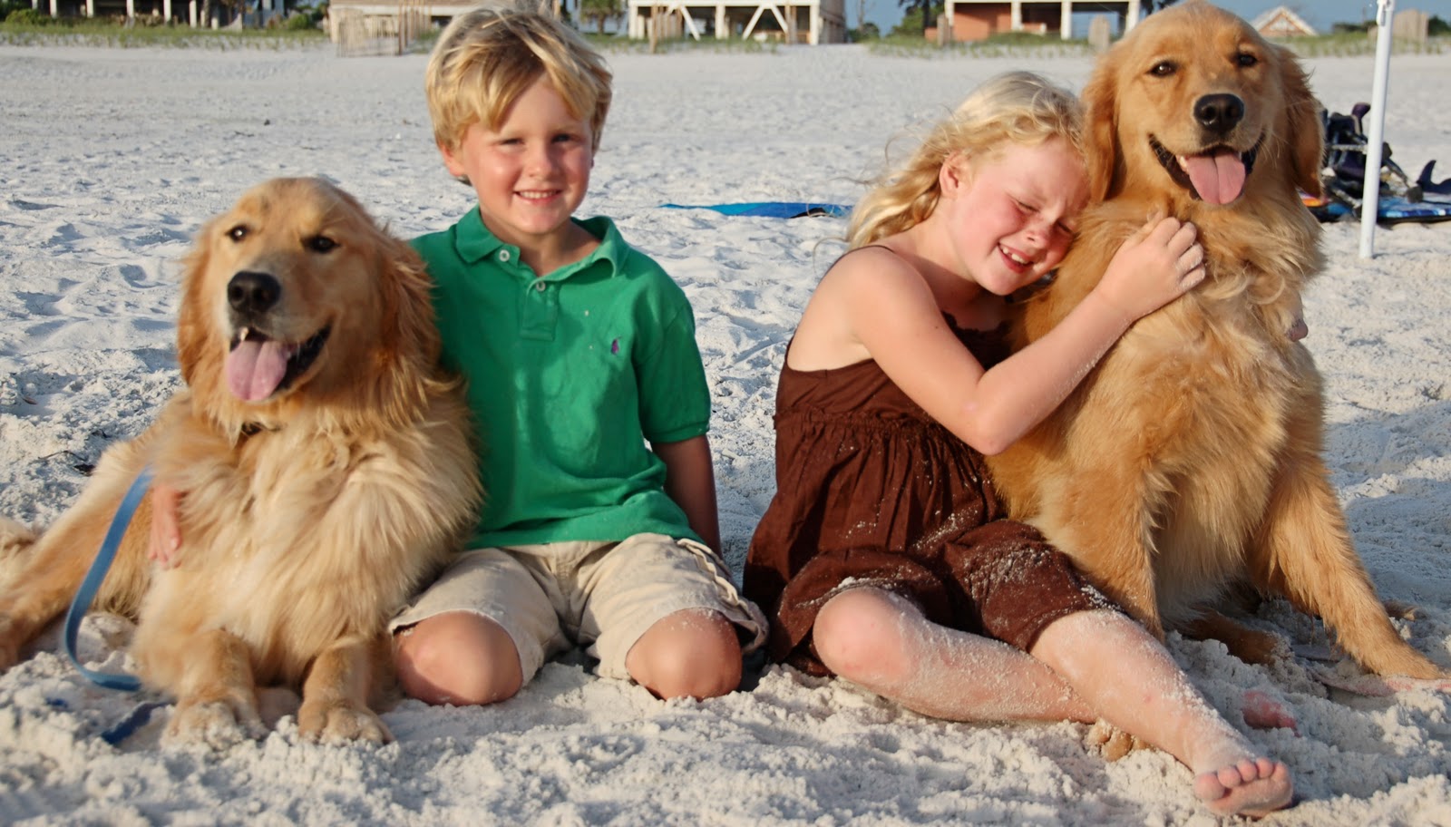 grass stains: A family - two dogs + Facebook + a community = a ...