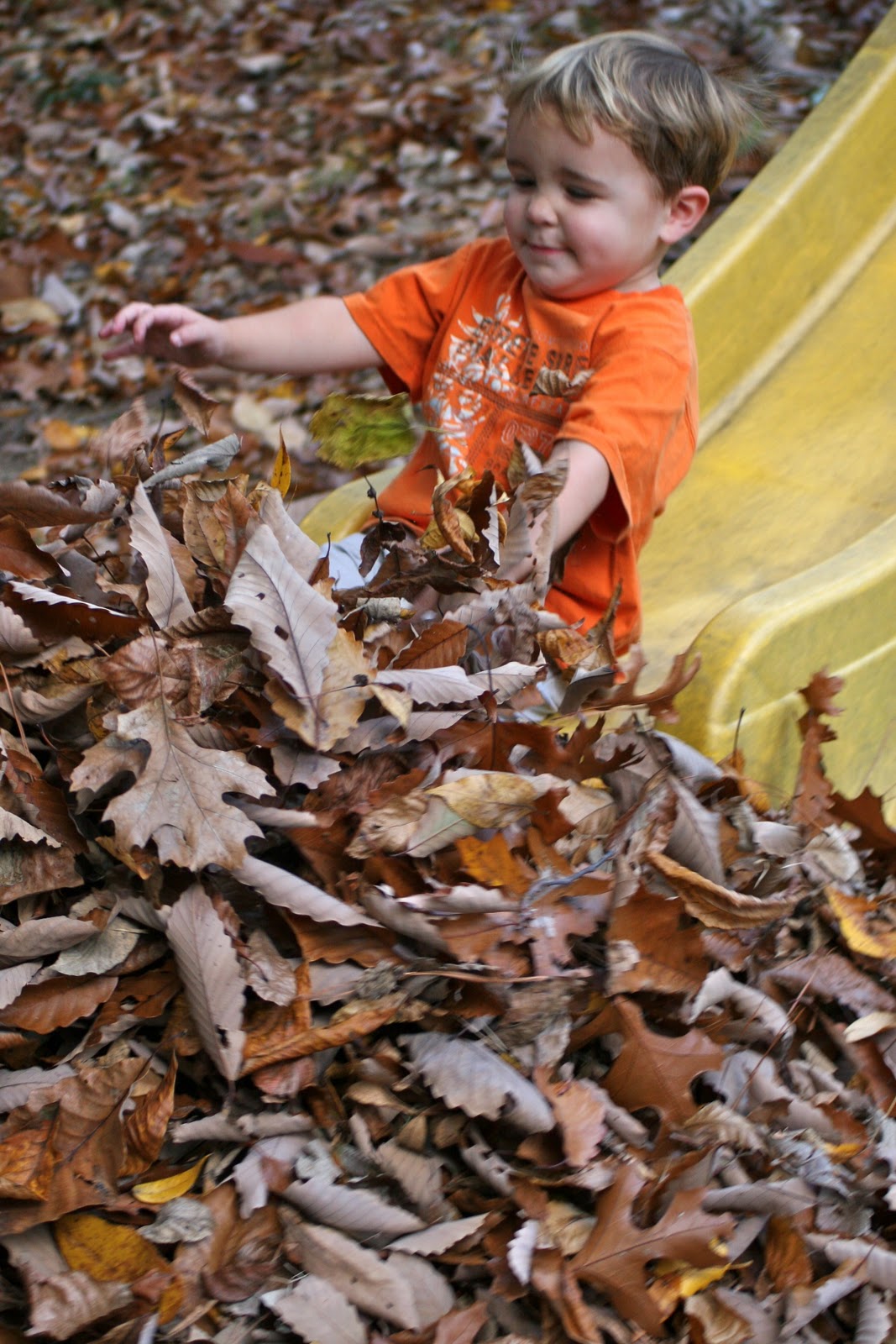 grass stains: GOSH I love Fall