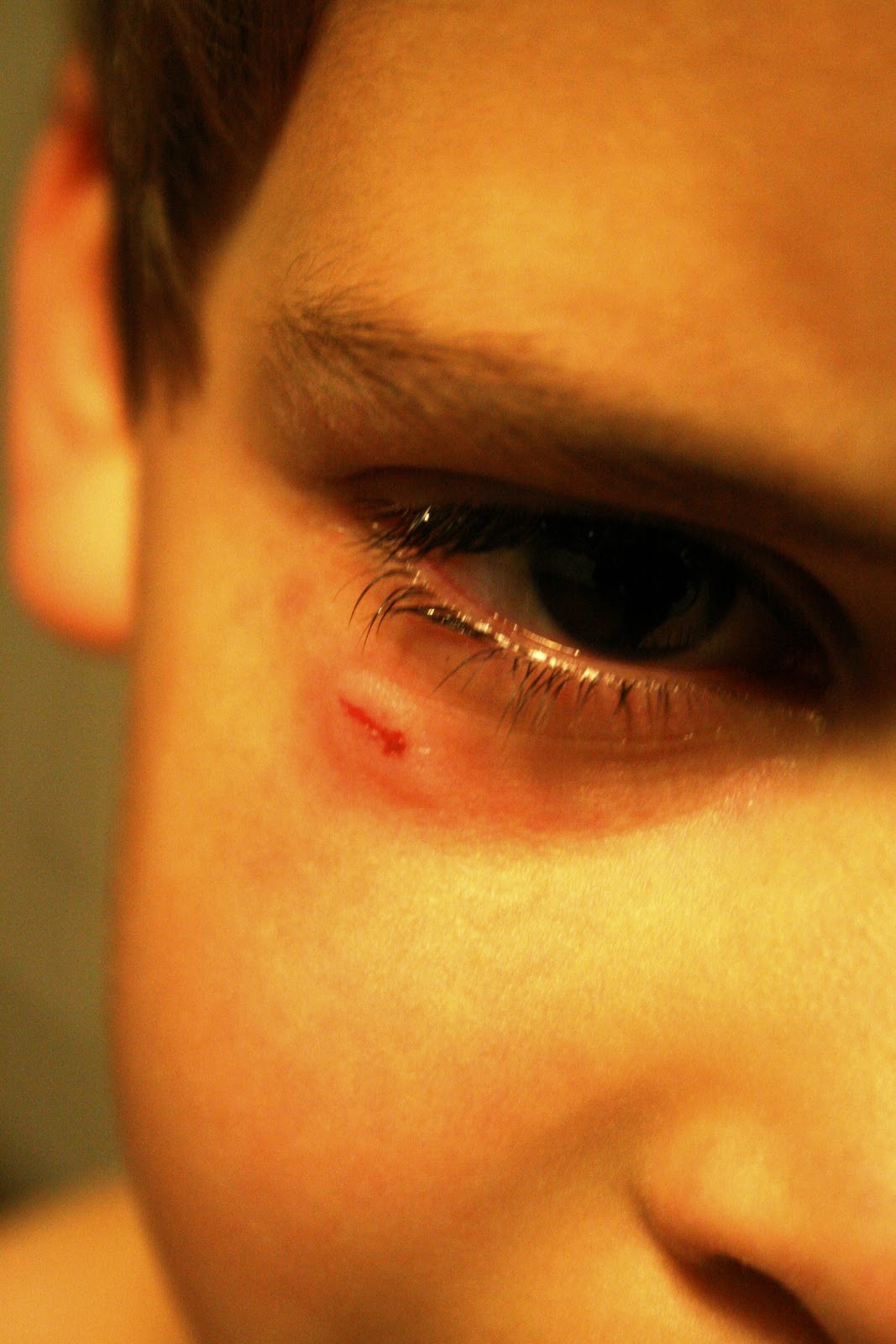 grass stains: December 2010