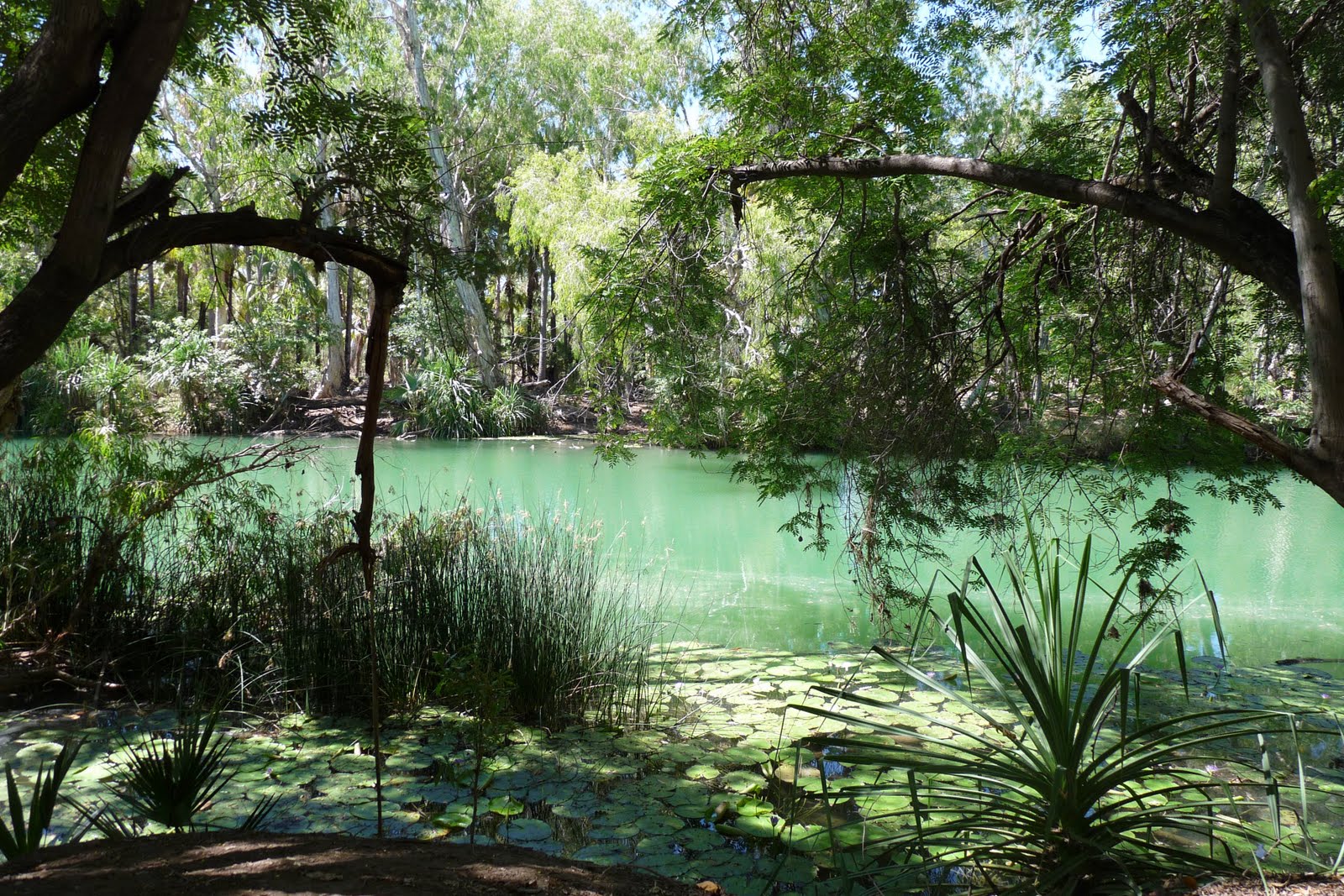 THE TRAVELLING GREGORY'S