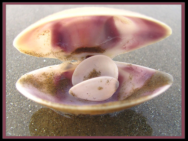 SEA - MAKE YOUR KOLKATA(INDIA) TRIP MEMORABLE