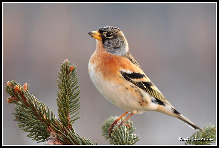 De tout et de rien: Il se passait quelque chose ce matin...