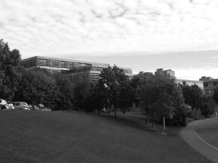 Brutal Bold and Brilliant