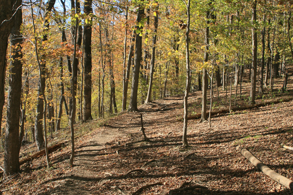 Journeys: High Rocks State Park, Bucks Co., PA