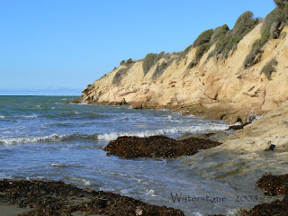 Entirely World Famous Nicquel: KAKANUI