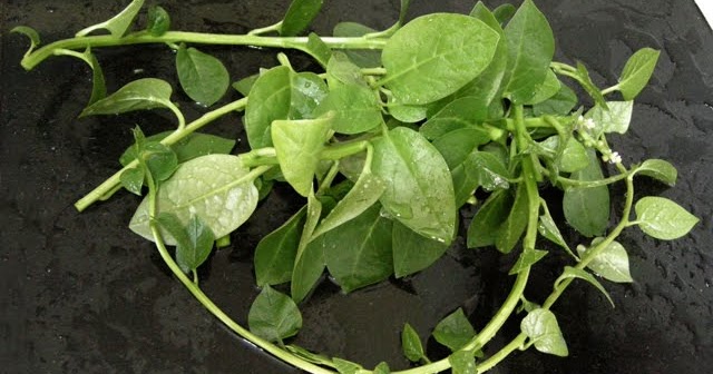 Home grown Veggie-Basale soppu | All Soupi's