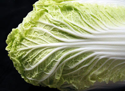 tastytype: Burmese Crunchy Ginger Salad