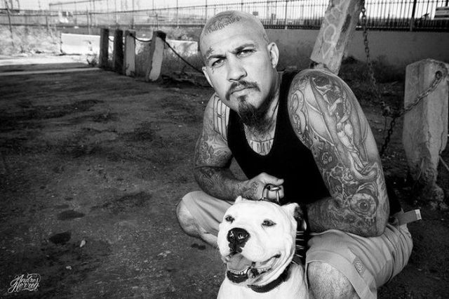 Los Angeles%27 Street Gangs 27 « Thatcars.Com