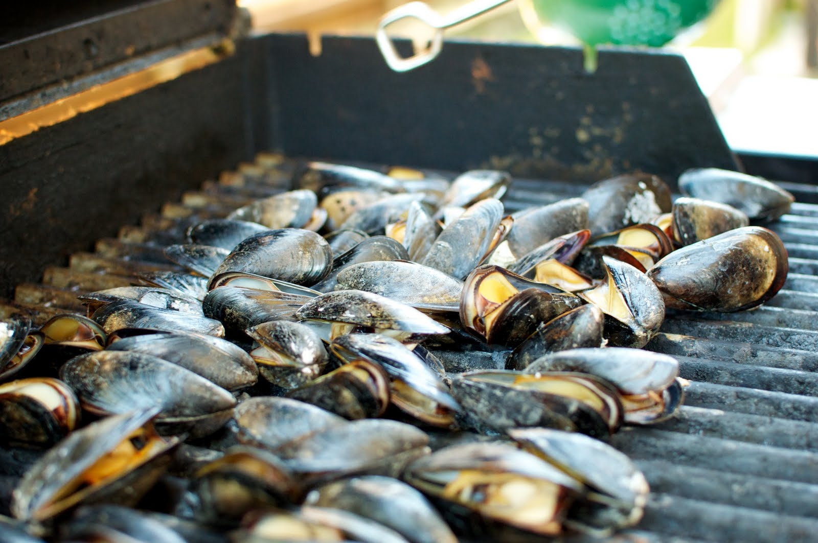 Fish and Veggies: Grilled Mussels in Awesome Sauce