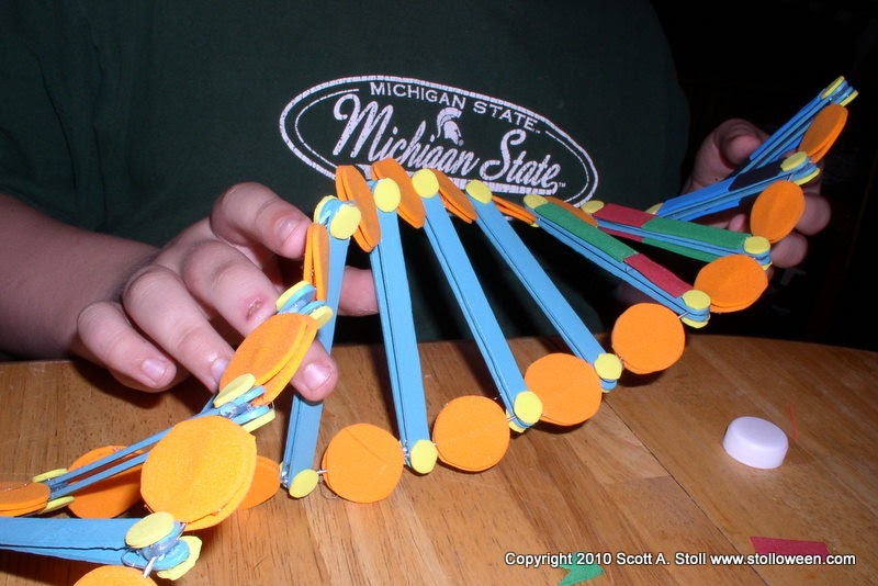 Scotty ART: The DNA Model Project