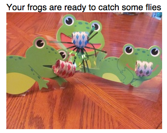 Frogs that catch flies! - Mommy Moment