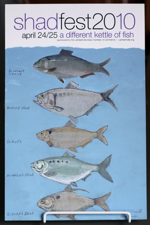 2010 Shad Festival Posters