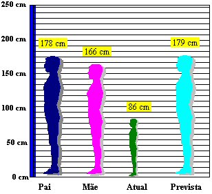 JSJ - Juventude São José: Edificar