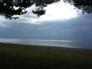 Green Grass and Blue Sky: Lake Biwa Camping