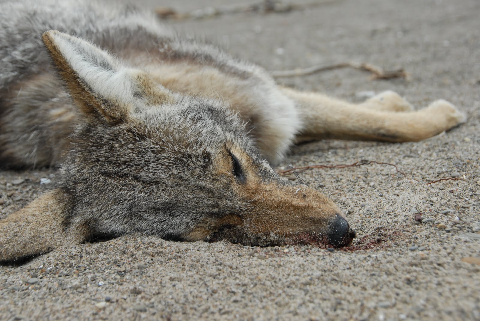 Moonfire Film Productions