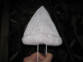 SCP: Megalodon - Recreating The Tooth