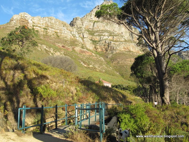 Walking the Cape: Pipe Track: from Kloof Nek
